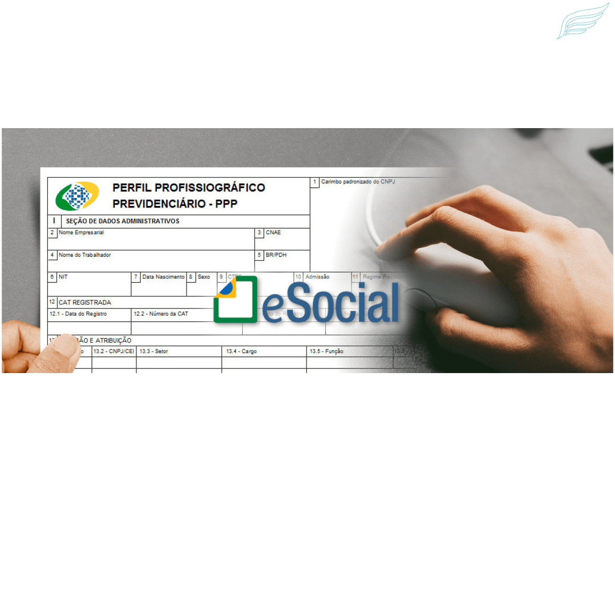 PPP - PERFIL PROFISSIOGRÁFICO PREVIDENCIÁRIO - Revoe Contabilidade de ...