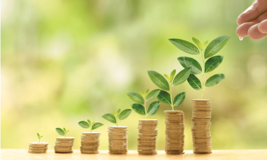 INDICES DE RENTABILIDADE - Revoe Contabilidade de Resultado